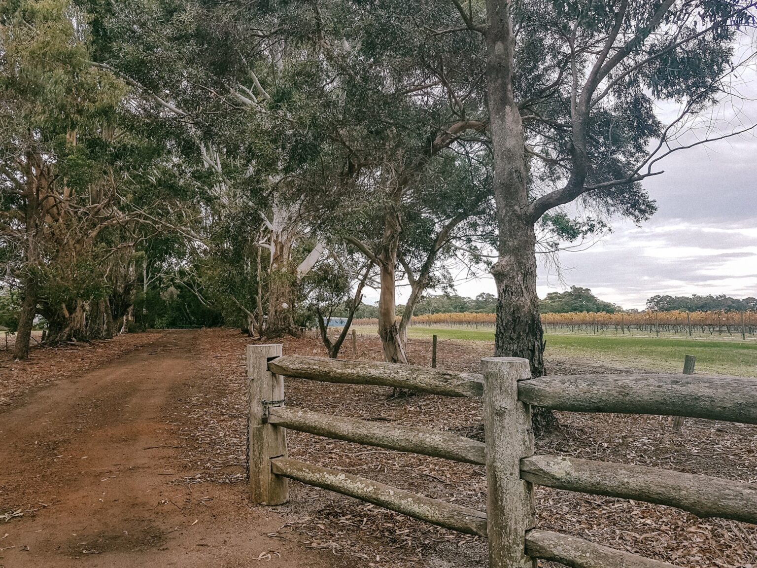 Paul Conti Wines - Sicilian Passion with an Australian Twist