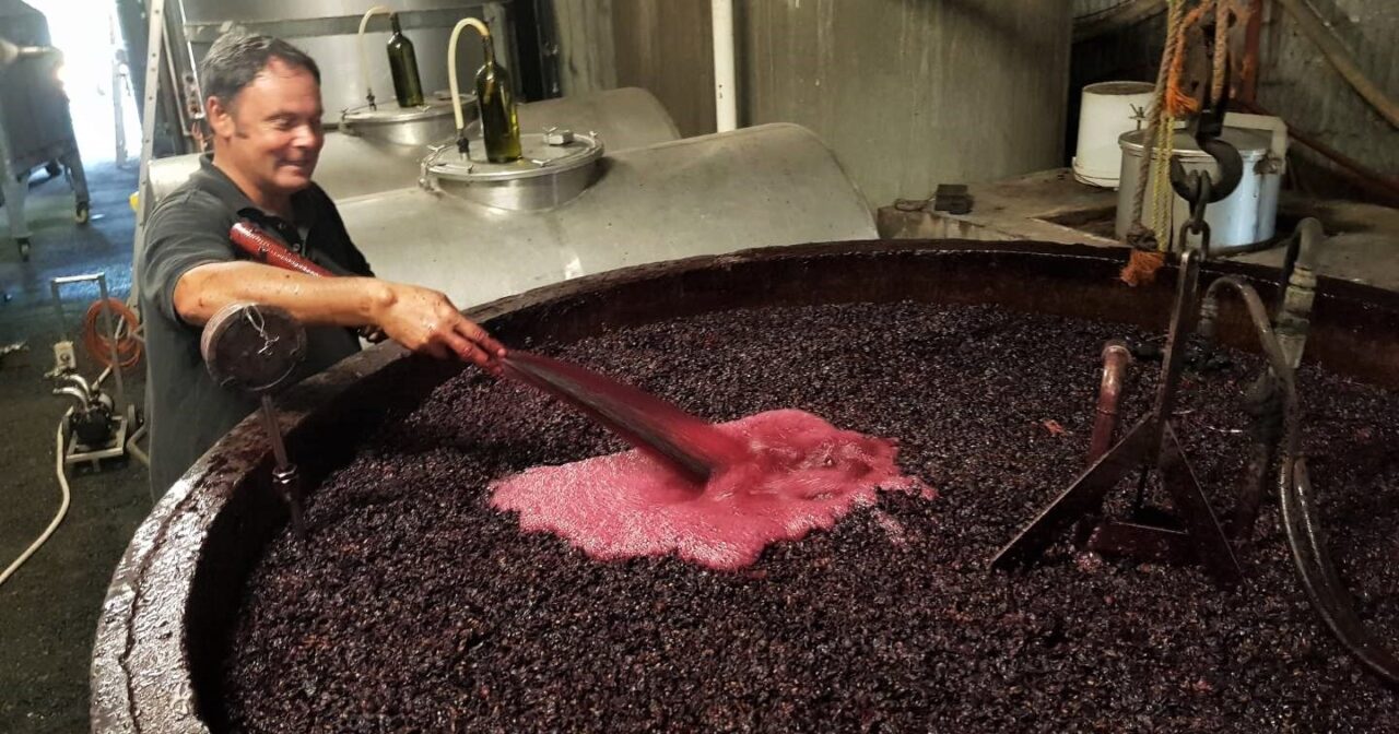 Generational Winemaking - Paul Conti Wines